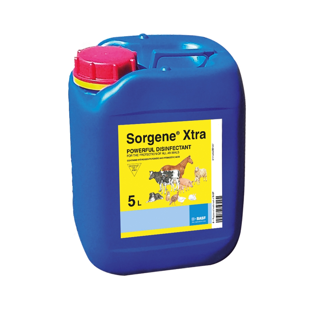 Sorgene Xtra 5L | Disinfectant | Farm & Home Store
